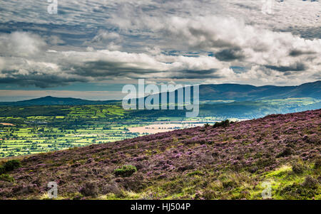 View southwards over the Golden Vale of Tipperary towards the Comeragh ...