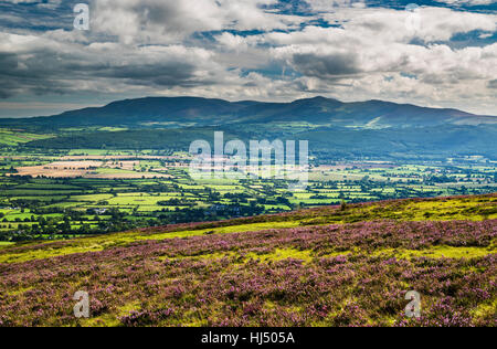View southwards over the Golden Vale of Tipperary towards the Comeragh ...