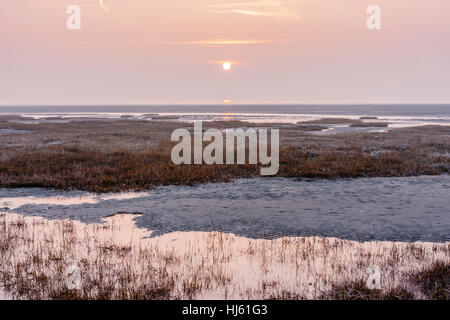 Mudflats in salt marsh, Bay of Fundy, Nova Scotia, Canada Stock Photo ...
