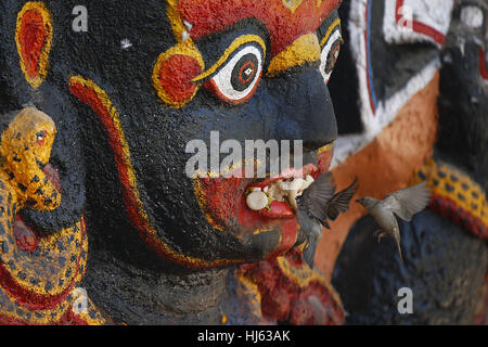 Kathmandu, Nepal. 22nd Jan, 2017. A sparrow reaches towards the mouth ...
