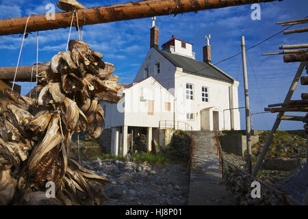 norway, house, building, food, aliment, city, town, industry, fish ...