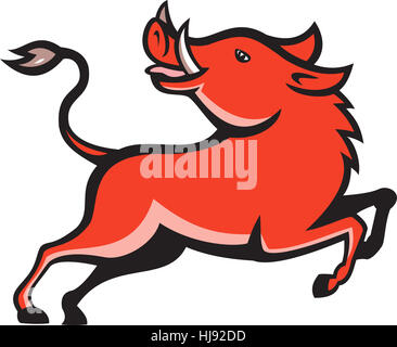 Illustration of a wild pig boar razorback jumping on isolated ...