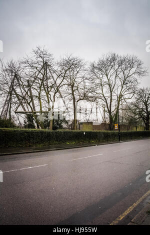 The iconic Snowdon Aviary at ZSL London Zoo, London, UK Stock Photo - Alamy