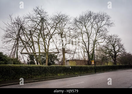 The iconic Snowdon Aviary at ZSL London Zoo, London, UK Stock Photo - Alamy