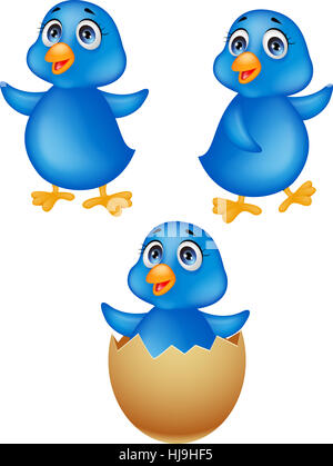 blue, pet, bird, cub, baby, cartoon, maddening, pert, coquettish, cute ...