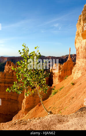 environment, enviroment, america, plateau, environment, enviroment ...