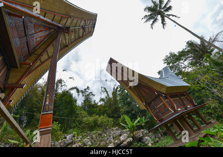 Tongkonan traditional houses in Tana Toraja, Sulawesi, Indonesia Stock ...