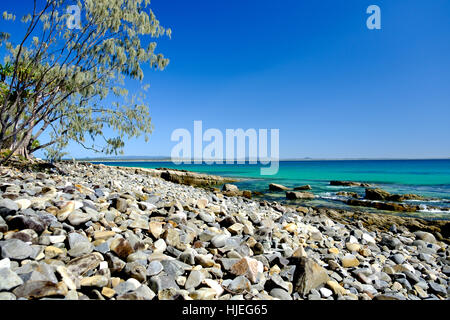 Deserted Tea Tree Bay Beach in Noosa National Park, Queensland ...