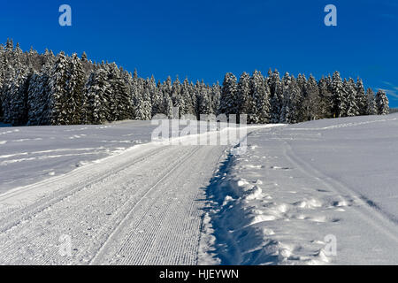 A cross country ski-track in Finland Stock Photo - Alamy