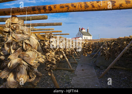 norway, house, building, food, aliment, city, town, industry, fish ...