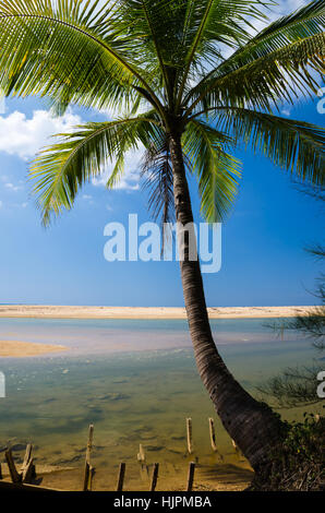 Luxury beach with coconut palms and blue ocean in Mauritius. Aerial ...