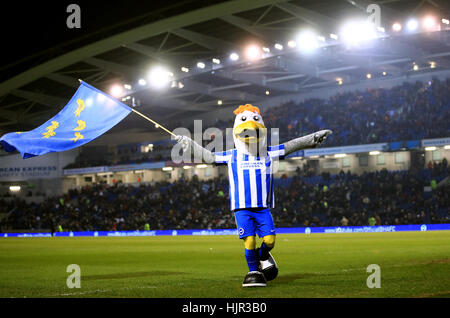 Gully the Brighton mascot before the Sky Bet Championship Play Off ...