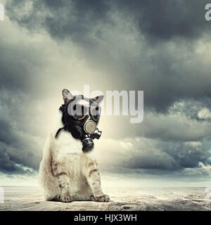 Cat in gas mask Stock Photo - Alamy