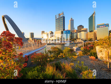 Native plants growing at Elizabeth Quay Stock Photo - Alamy