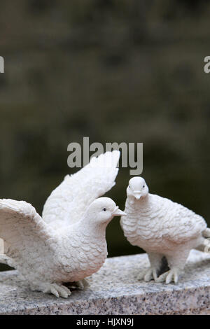 Couple de colombes sur une pierre tombale Stock Photo - Alamy