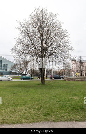 Exterior of National Library of Latvia at sunset Stock Photo - Alamy