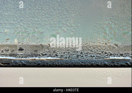 Condensation and damp problem on the inside of a double glazed window ...