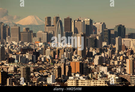 overpopulation, Townscape, Townscape, Skyscrapers of Shinjuku and Mount ...