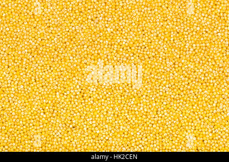 dried, millet, structure, backdrop, background, nutrition, texture ...