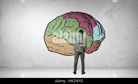 Back view of businessman drawing human brain on wall Stock Photo - Alamy