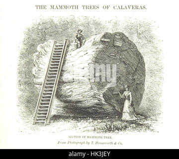 Image from 'Scenes of Wonder and Curiosity in California,' showcasing ...