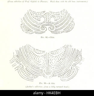 This image from 'Moko; or, Maori Tattooing' provides a visual ...