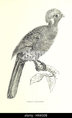 Illustration from 'Through Unknown African Countries', depicting an ...