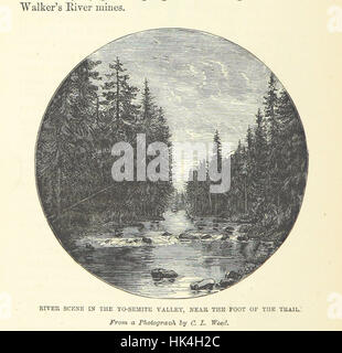 Illustration from 'Scenes of Wonder and Curiosity in California ...