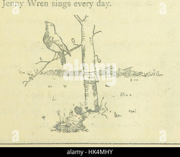 Image from the 'Ode for the Sophomore Supper of the Class of 1854 ...