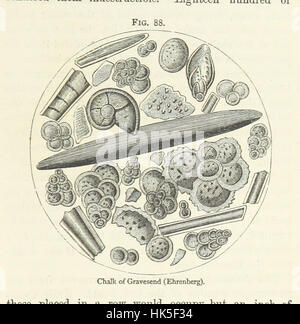 An image from 'The Story of the Rocks,' documenting a 14-week ...
