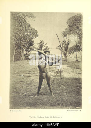 Illustration from 'Unter den Papua's', depicting the indigenous peoples ...