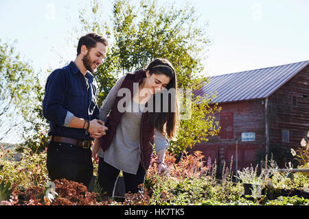 People looking at garden centre display of succulents plant plants at ...