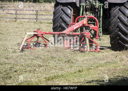 Haymaking, second stage, turning the cut grass using a twin rotor rake ...