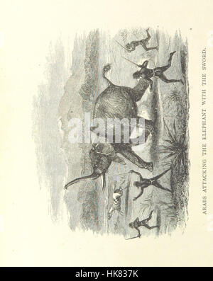 An illustration from 'The Nile Tributaries of Abyssinia,' depicting the ...