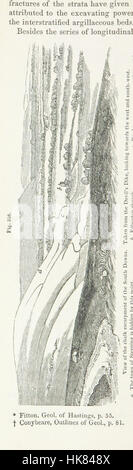 Page from the 'Elements of Geology,' the sixth edition, illustrating ...
