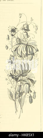 This image from 'Sacred Poetry' presents a collection of religious ...