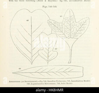 Photograph from 'Principles of Geology,' illustrating key geological ...