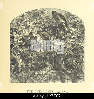 An image from 'The Illustrated Family Burns,' featuring engravings and ...