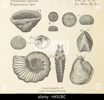 An image from the 'Manual of Geology' depicting key principles of ...