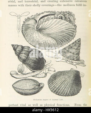 Earth's climate system, illustration Stock Photo - Alamy