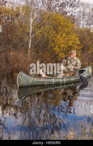 Successful bowhunter returning, in a canoe, with his 8-point buck Stock ...