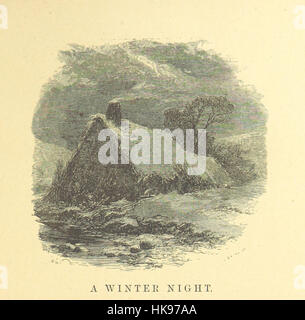 An image from 'The Illustrated Family Burns,' a collection featuring ...