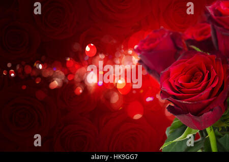 scarlet roses on dark background Stock Photo - Alamy