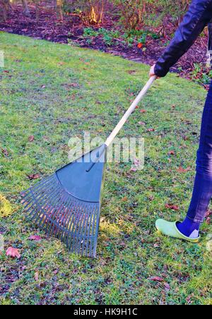 Fall Leaves and Rake Stock Photo - Alamy
