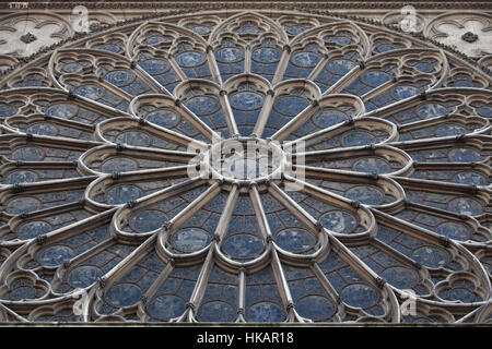 Gothic Rayonnant stained glass rose window, Cathedral Basilica of Saint ...