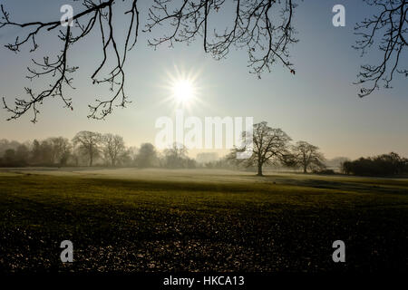 Morning mist on fields at Northamptonshire, England Stock Photo - Alamy