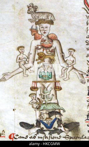 Zodiac Man, Medical Astrology Stock Photo - Alamy