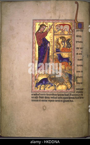 Creation of animals from ancient christian tapestry of Girona, Spain ...