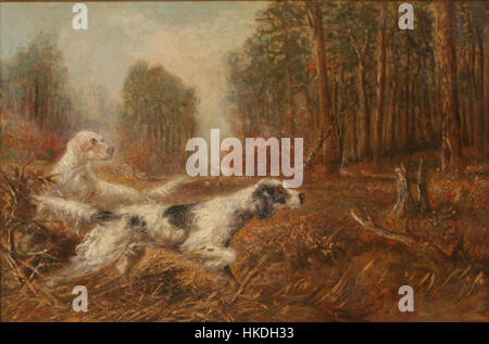 Verner White Dogs Stock Photo - Alamy