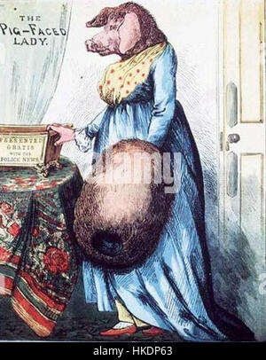 A depiction of the Pig-faced Lady of Manchester Square, a famous ...